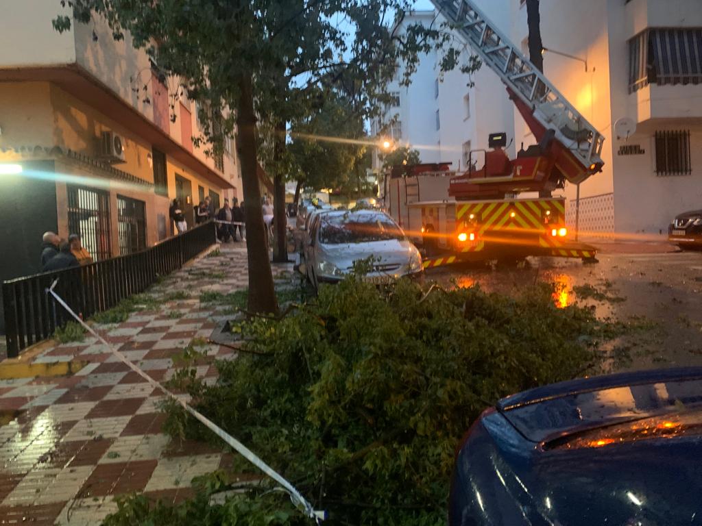 Fotos: Tornado damage in Marbella | Sur in English