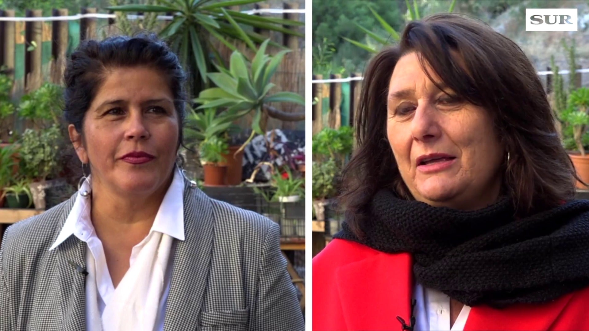 Adelfa Calvo y Laura Baena, las malas del Limonar y la Palmilla ...