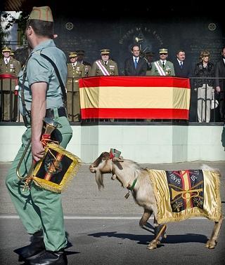 El ejército que propone Podemos insta a eliminar la cabra de la Legión ...