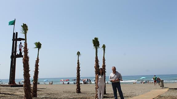 Las playas de Ferrara y El Morche en Torrox obtienen la 'Q' de Calidad ...